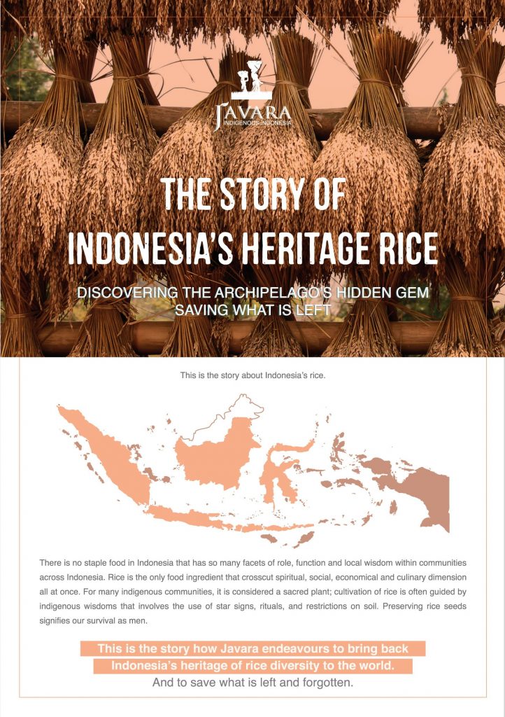 Javara Rice | JAVARA INDIGENOUS INDONESIA